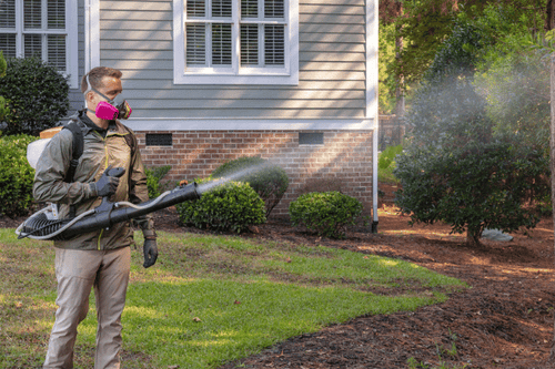 Pest & Termite Control Serving New Bern, Greenville & Morehead City NC