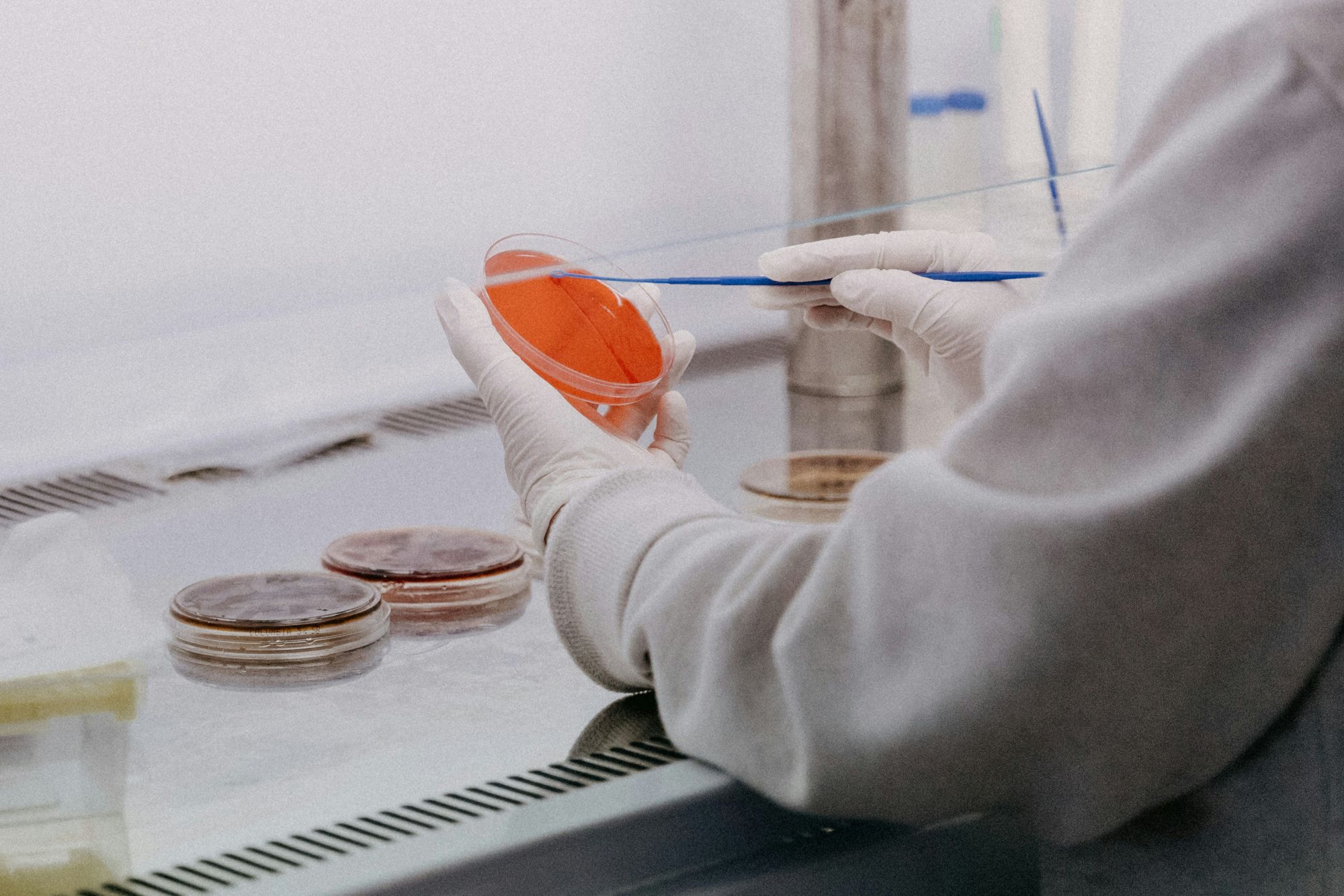Medical Lab Scientist Certification & Licensure Guide