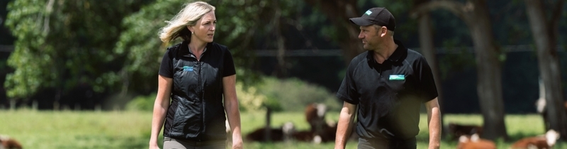 Agriculture, Horticulture & Engineering Consultants NZ - AgFirst