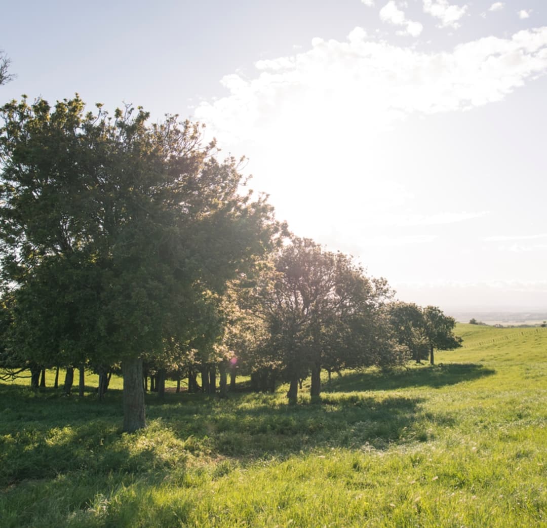 AgFirst Gisborne | Office