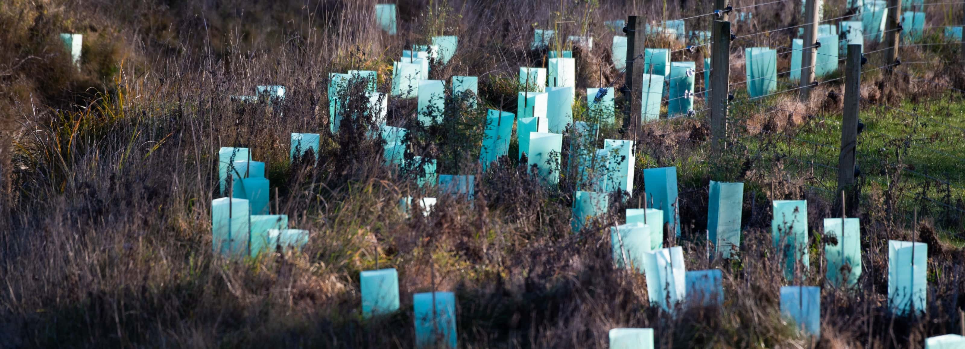 Agriculture, Horticulture & Engineering Consultants NZ - AgFirst