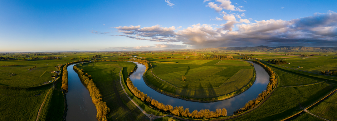 Agriculture, Horticulture & Engineering Consultants NZ - AgFirst