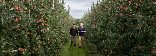 AgFirst - About | Farm & Orchard Advisors New Zealand