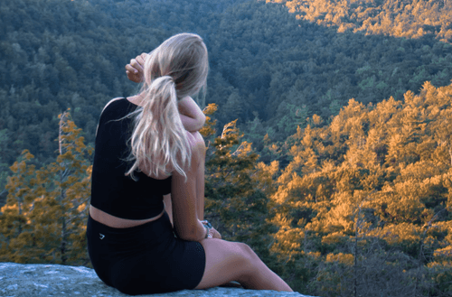 Springpod Student Blog