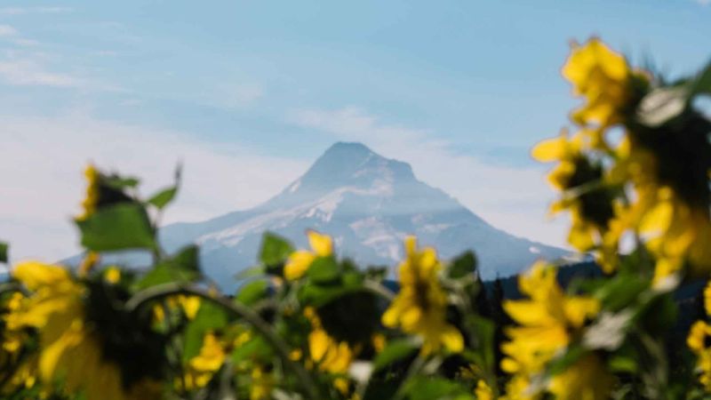 All the Best Stops on the Hood River Fruit Loop | Chris & Sara