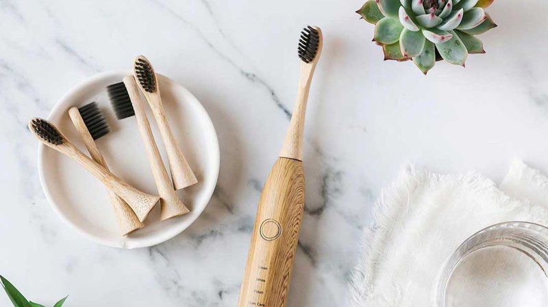 Green Lies: The Most Infamous Greenwashing Examples Revealed