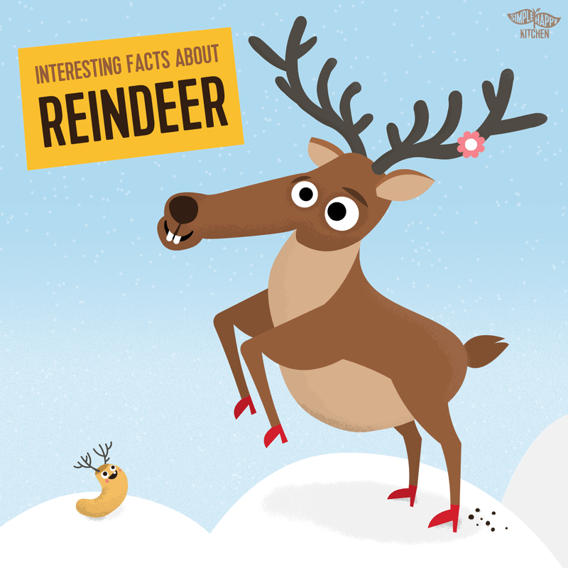 Is Rudolph the reindeer actually a she?! – Simple Happy Kitchen