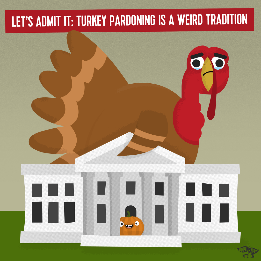 Let’s admit it: turkey pardoning is a weird tradition – Simple Happy ...