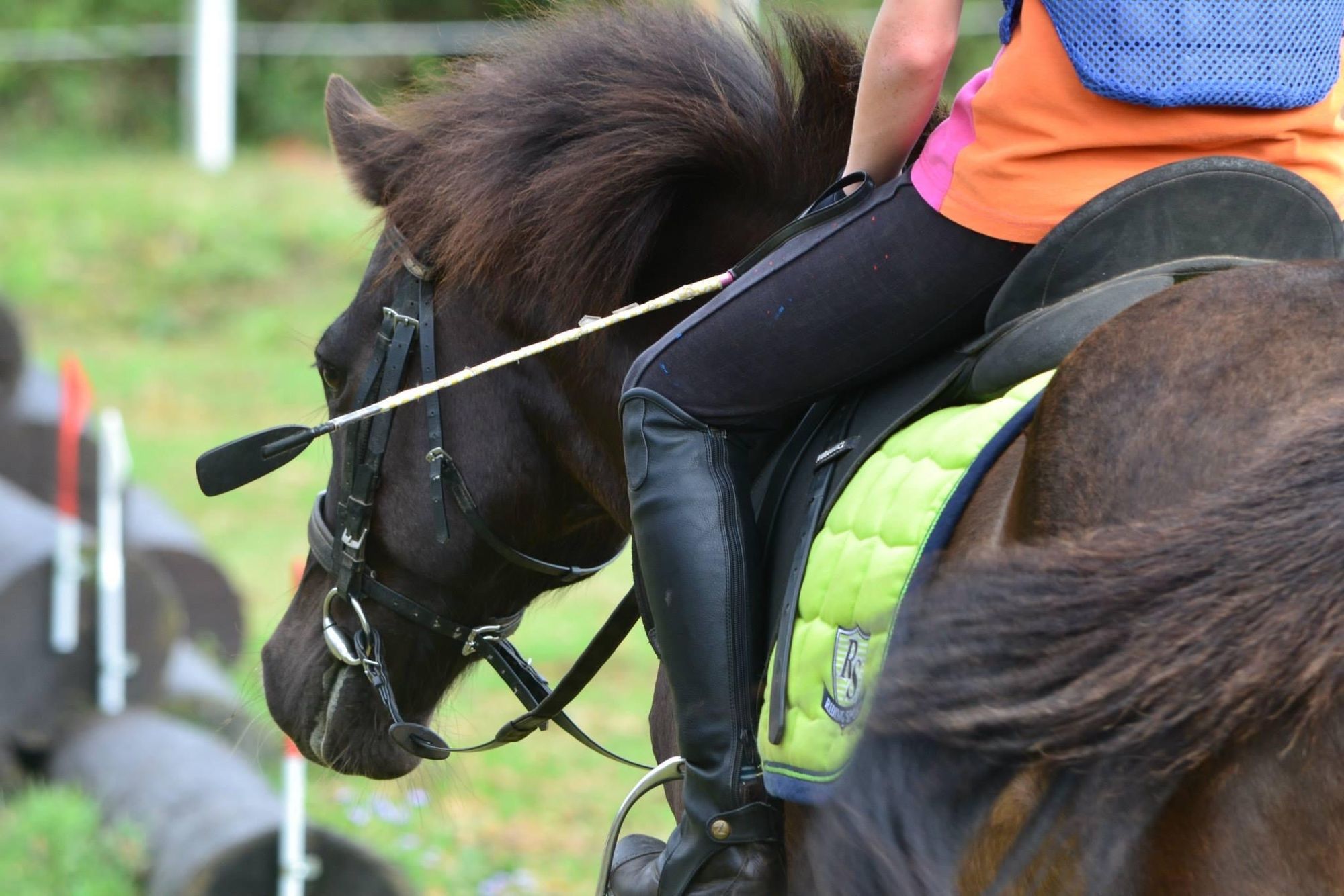Riding Lessons | Heritage Riding