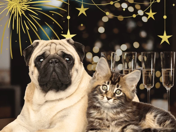 How to Keep Dogs & Cats Calm During New Year’s Eve