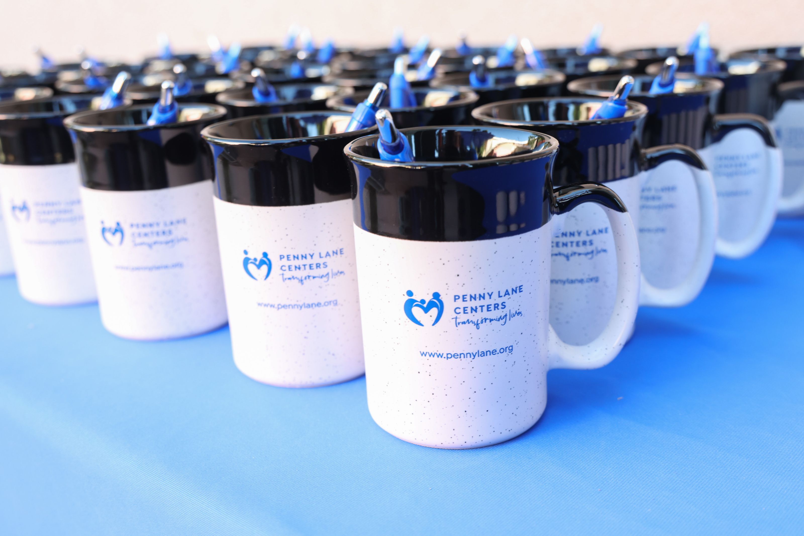 A Look Back at Our Community Event in Antelope Valley