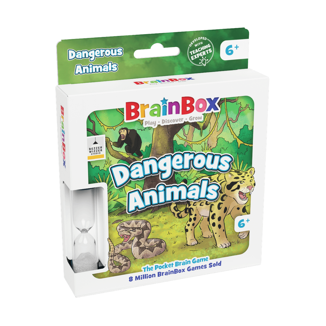 BrainBox