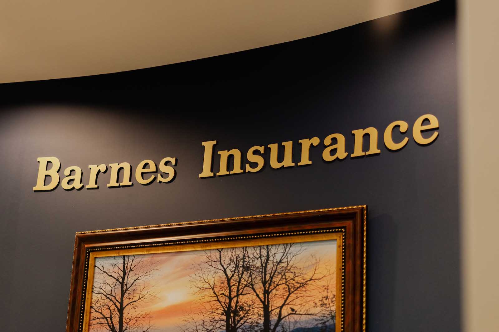 Meet The Team | Barnes Insurance