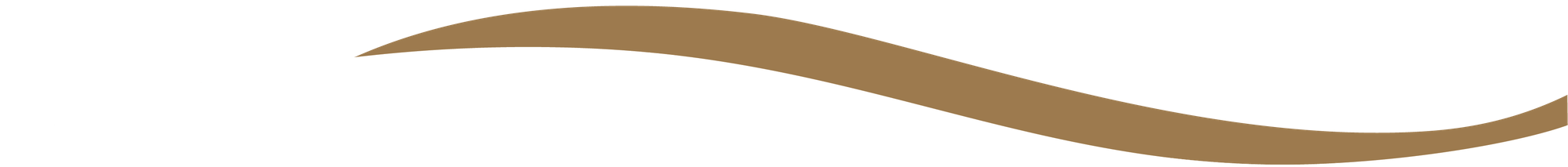 Share Price | Southern Cross Gold (TSXV: SXGC | ASX: SX2)