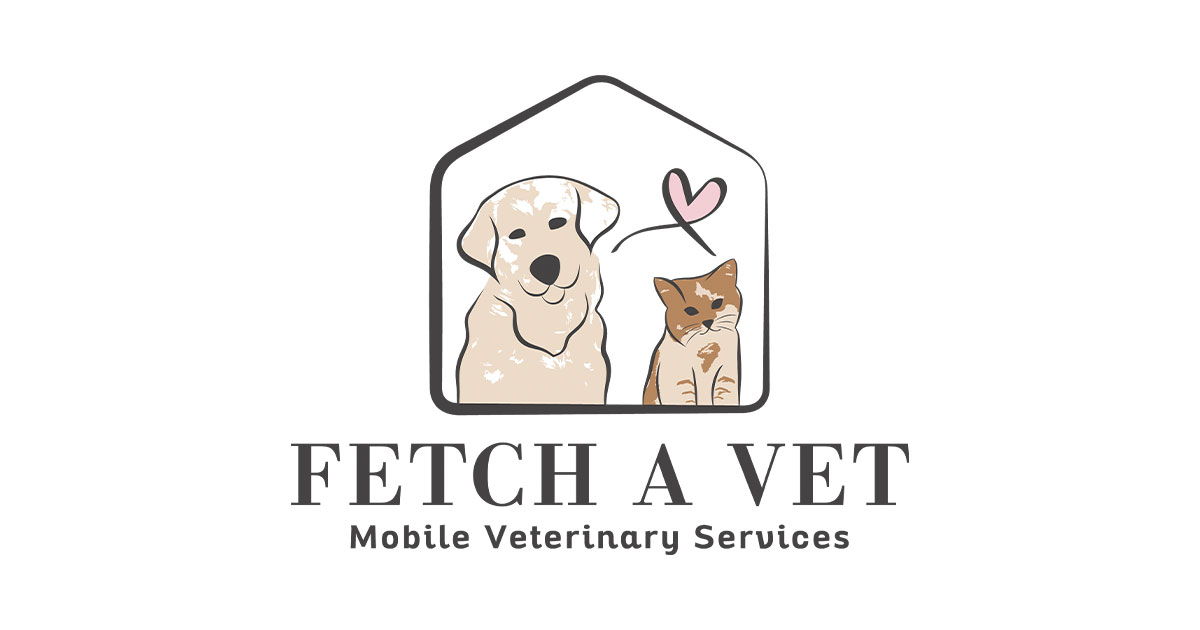 Our Services I Fetch A Vet