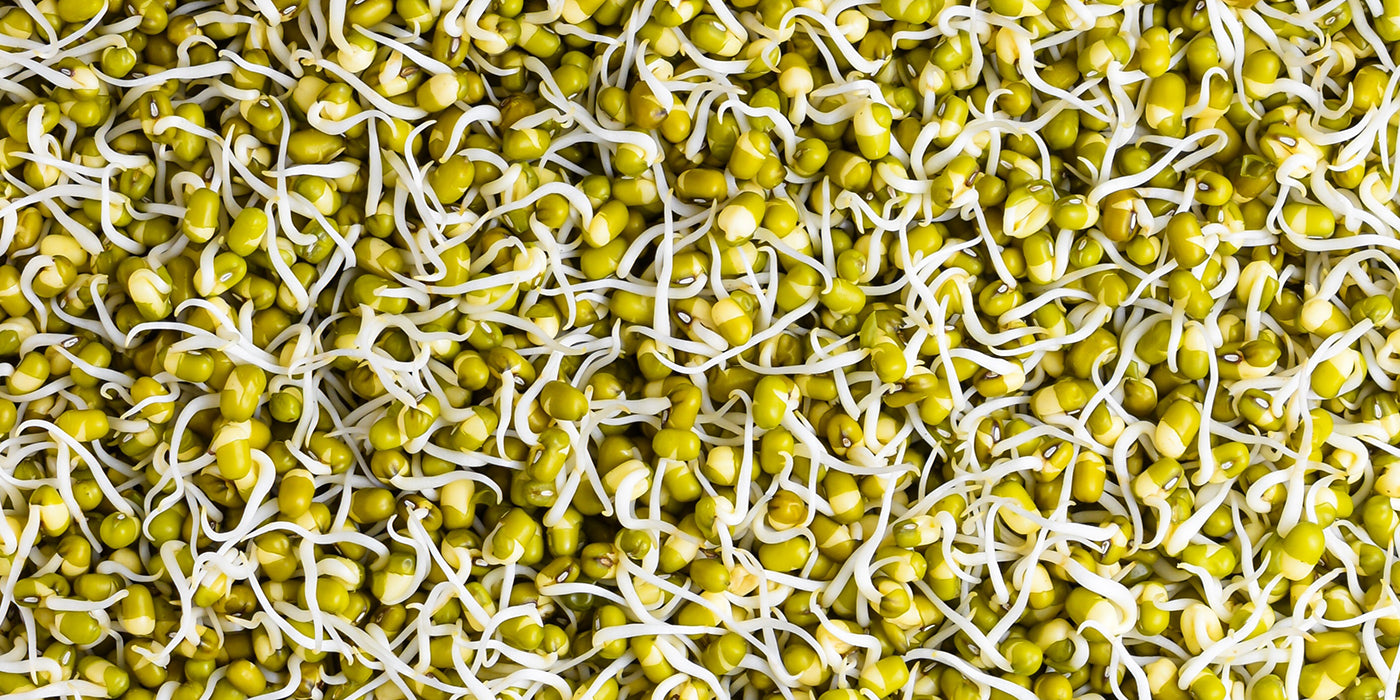 Why You Should Eat More Sprouts