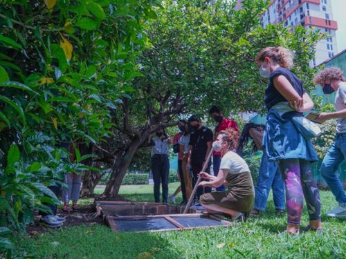 Interaction Design Programme