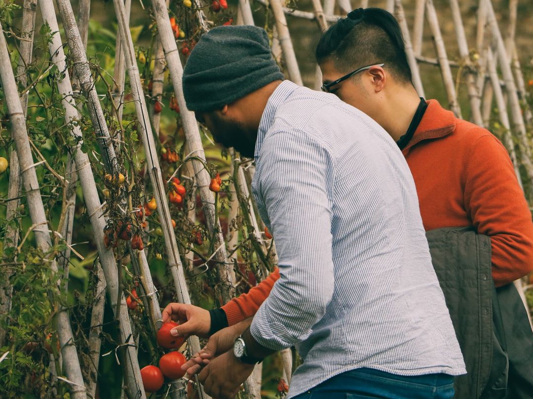 Interaction Design Programme