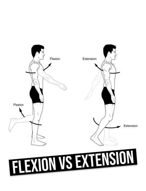 Weighted Leg Raises: A Detailed Analysis