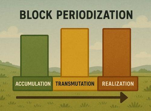 Block Periodization: Definition, Types, Uses, and Examples