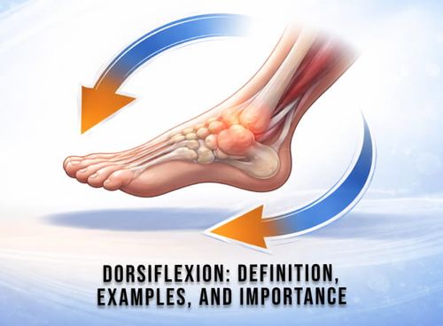 Dorsiflexion: Definition, Examples, and Importance for Coaches