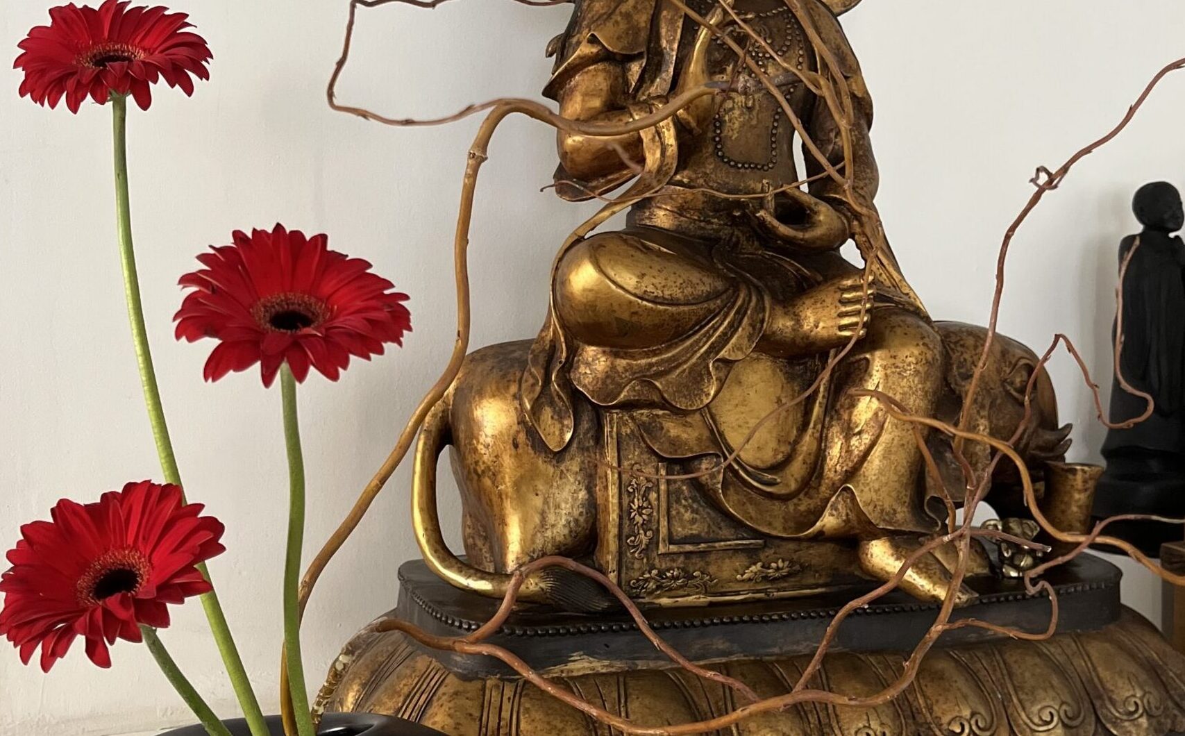 Affirm Life in all its Forms | New York Zen Center for Contemplative Care