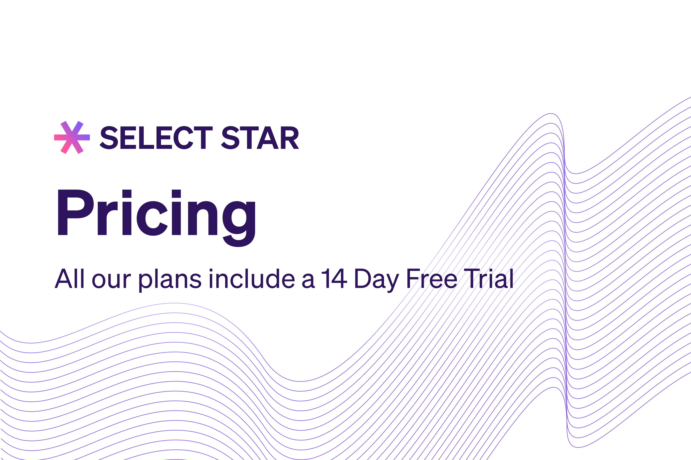 Pricing and Fees | Select Star