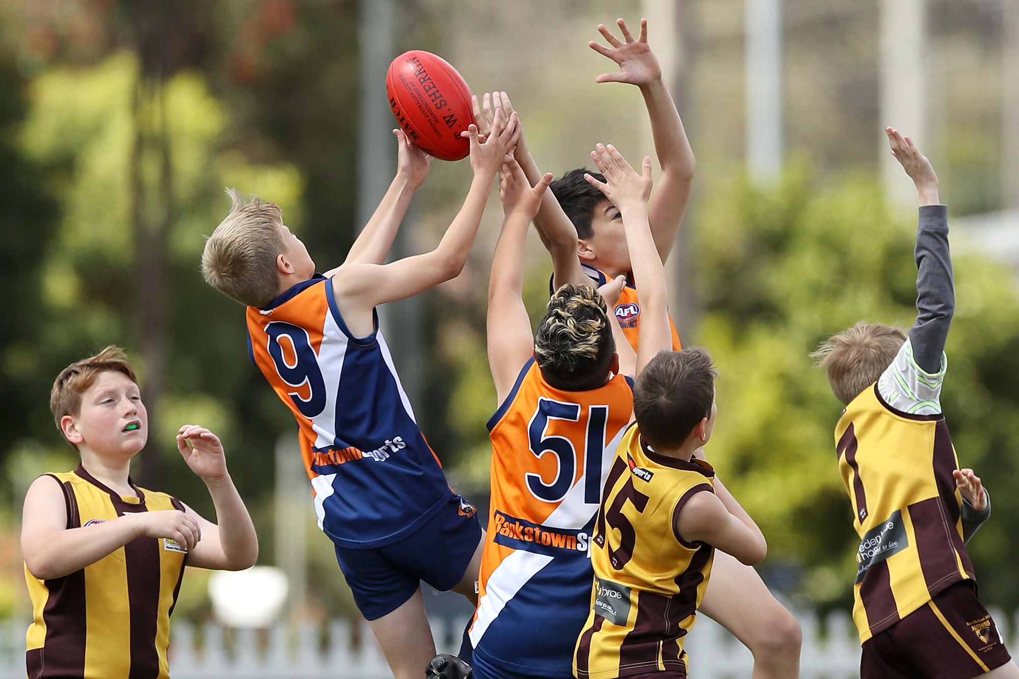 AFL Sports Management & Tournament Software