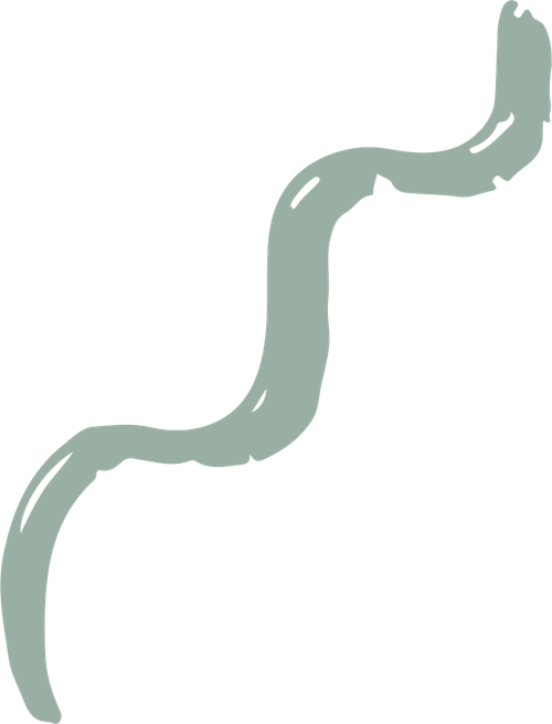 6 Project Status Report Examples Tailored for Agency Success