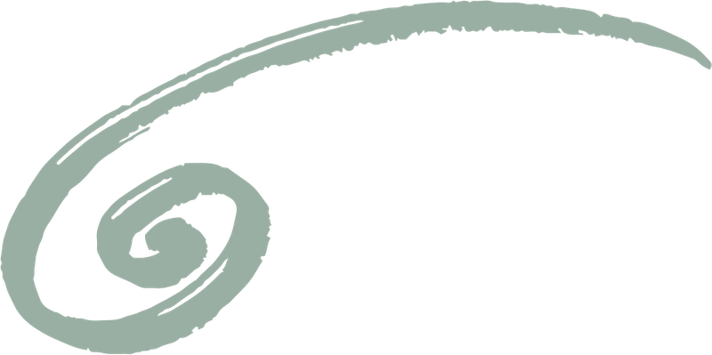 Registered Investment Advisor (RIA) - Complete Guide to Definition ...