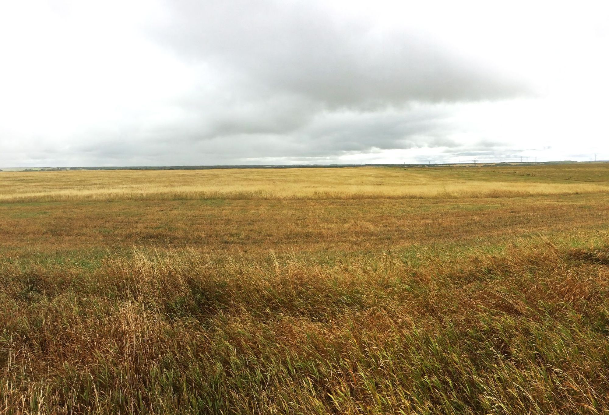 Aura Power | Our Projects