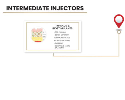 Aesthetic Medicine Training | Botox & Filler Courses