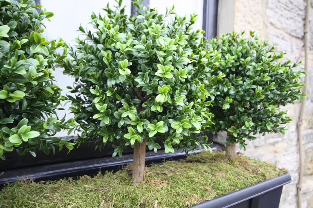 Artificial Window Boxes | plantART Bespoke