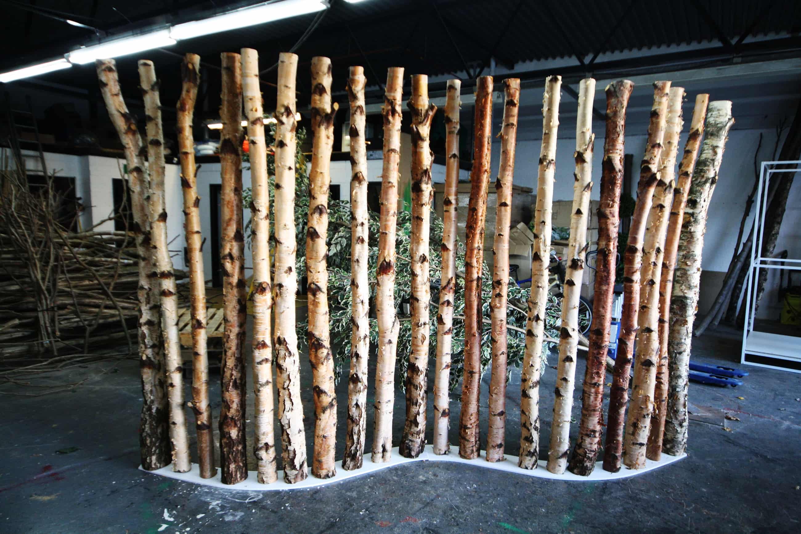 Preserved Birch Poles | plantART Bespoke