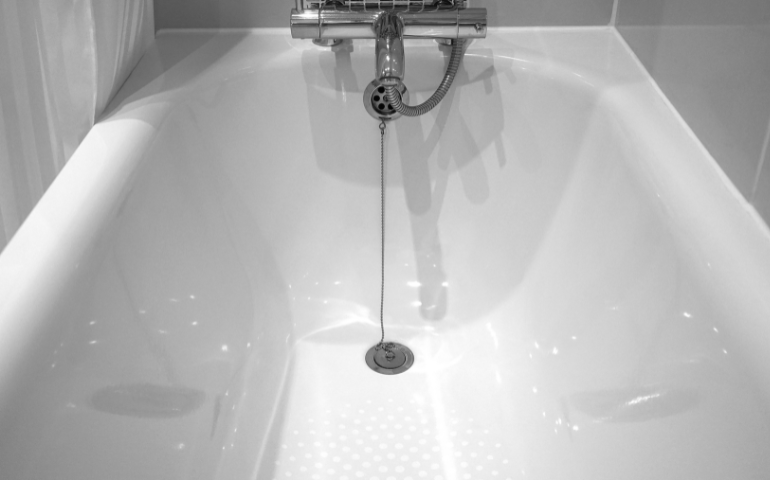 10 Common Bathroom Bugs & How to Get Rid of Them - Alta Pest Control