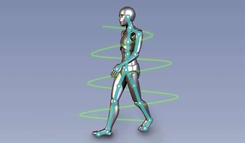 Stepping Up: Gait Recognition Biometrics Gain Attention