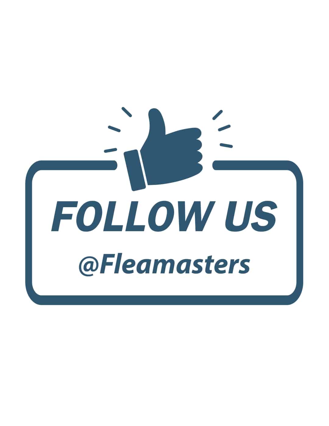 Fleamasters Flea Market - Visit