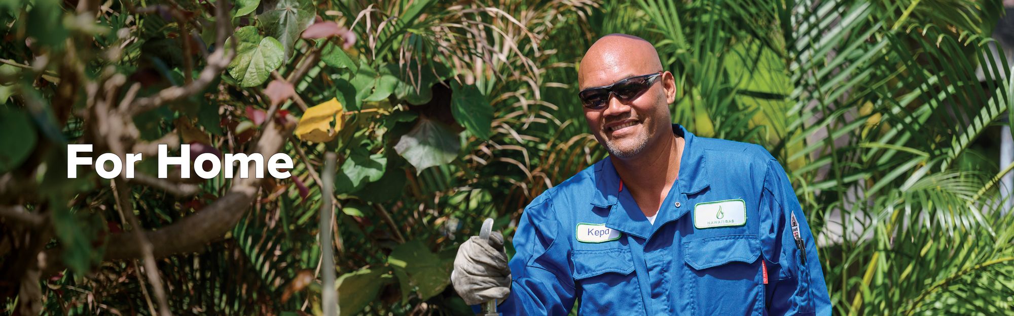 For Home | Hawaii Gas