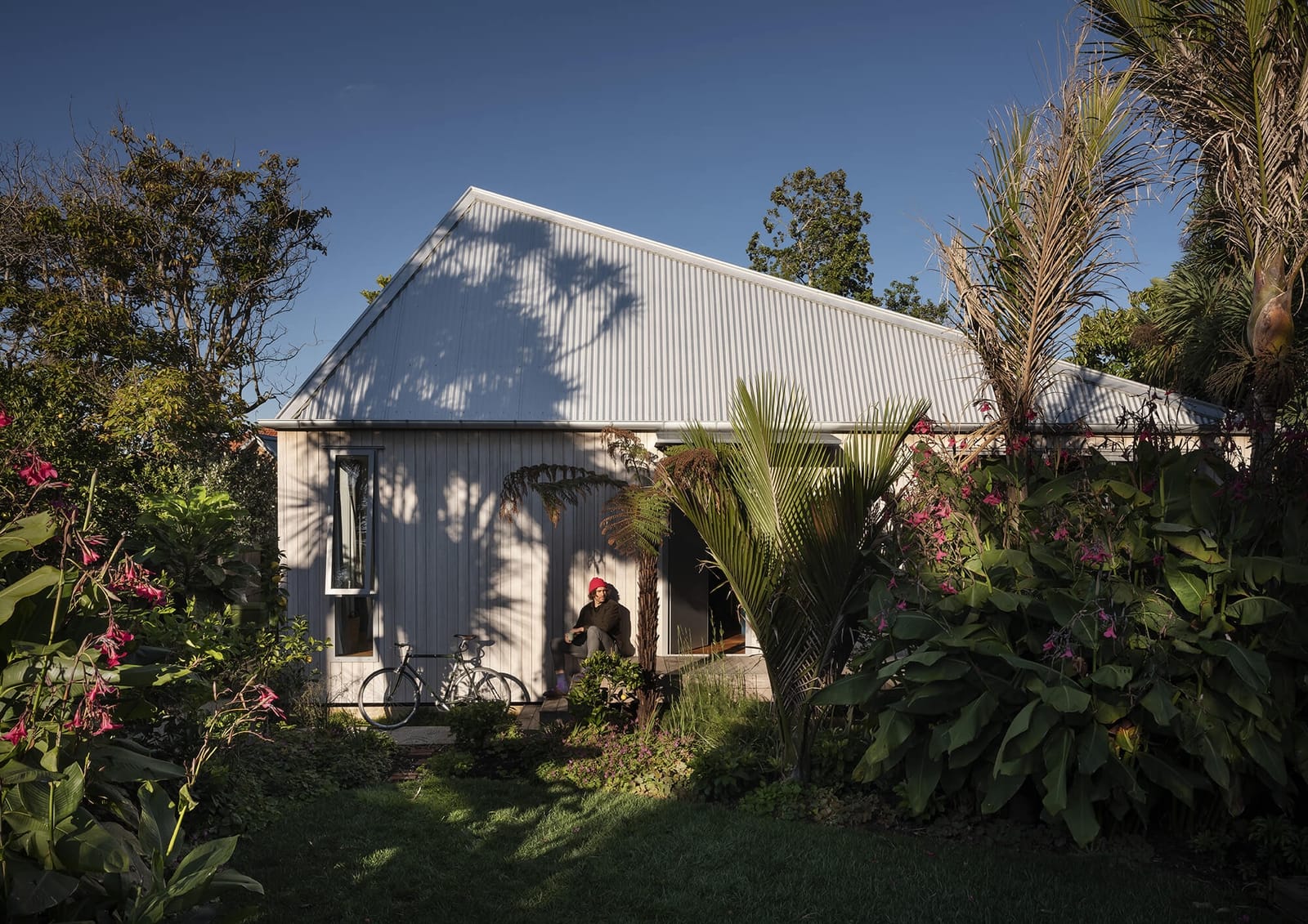 Pac Studio - Architecture & Interior Design | Auckland, New Zealand