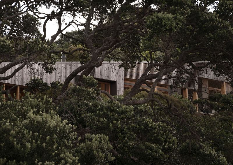 Pac Studio - Architecture & Interior Design | Auckland, New Zealand