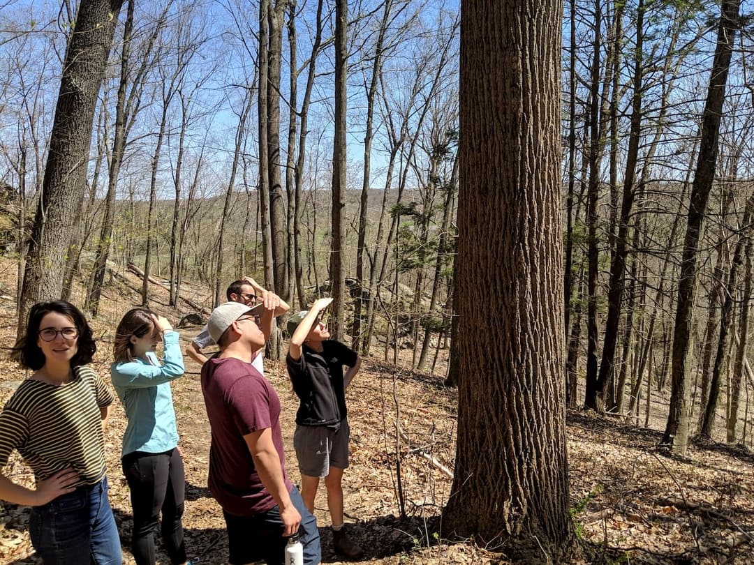 About - Upstream Tech