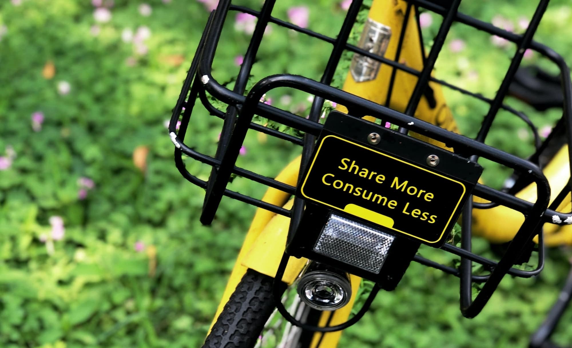 Reducing Food Waste: The Story Behind the Use It Up™ Tape | Major ...