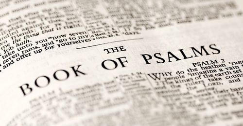 Wisdom Psalms Study Guide by: Theos Team
