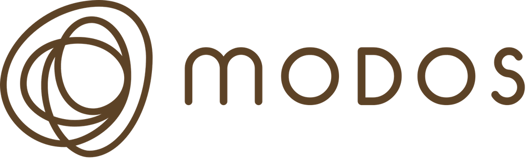 The Modos Paper Monitor | Modos