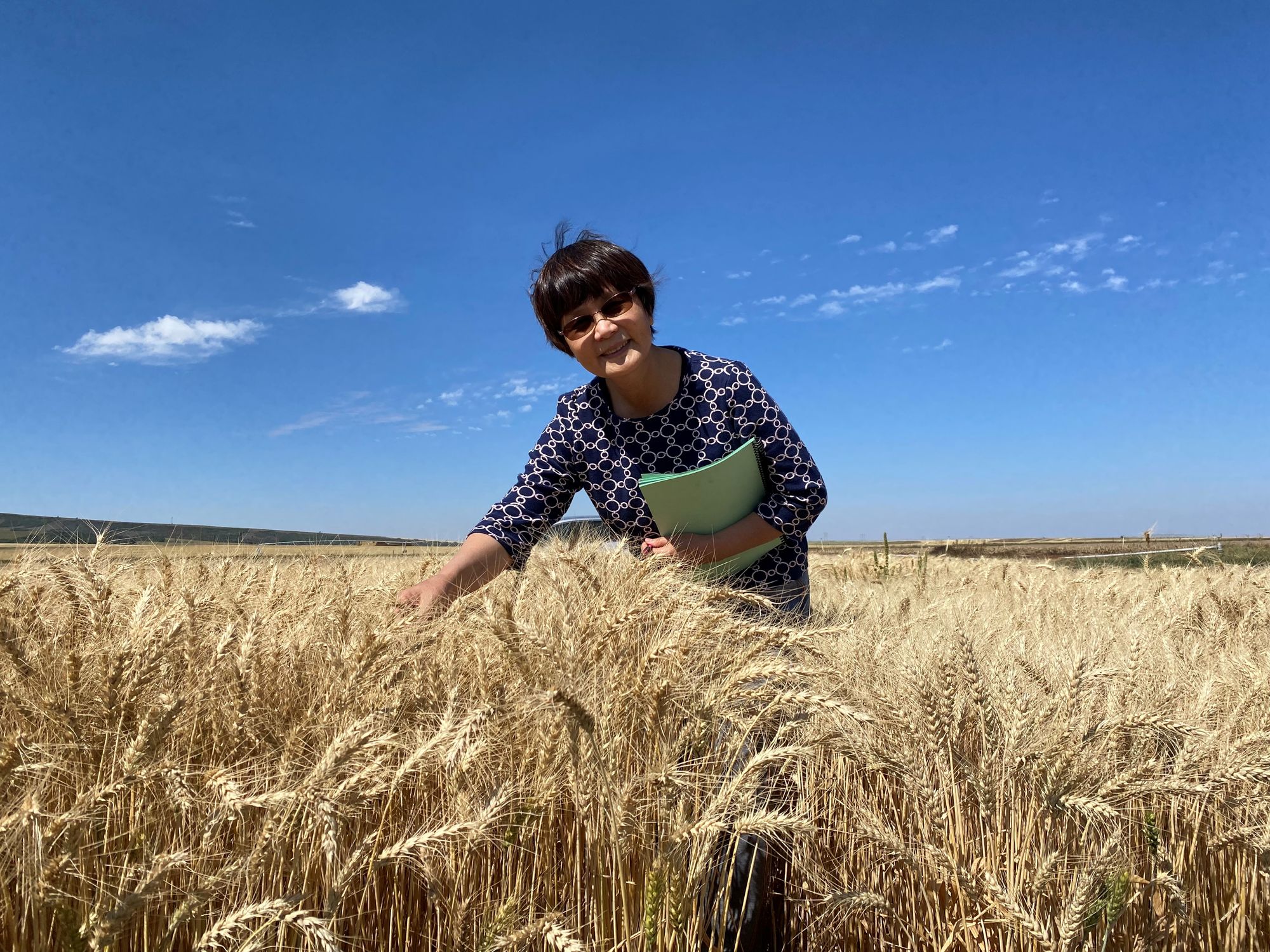 Idaho Wheat Commission