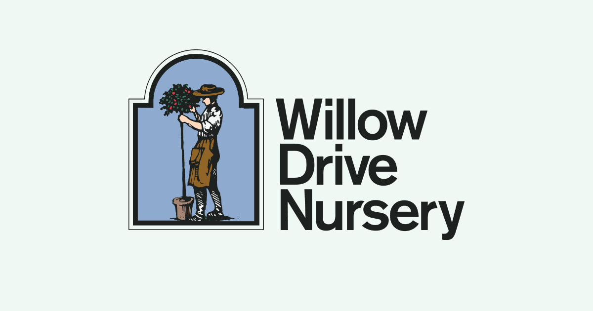 Varieties | Willow Drive