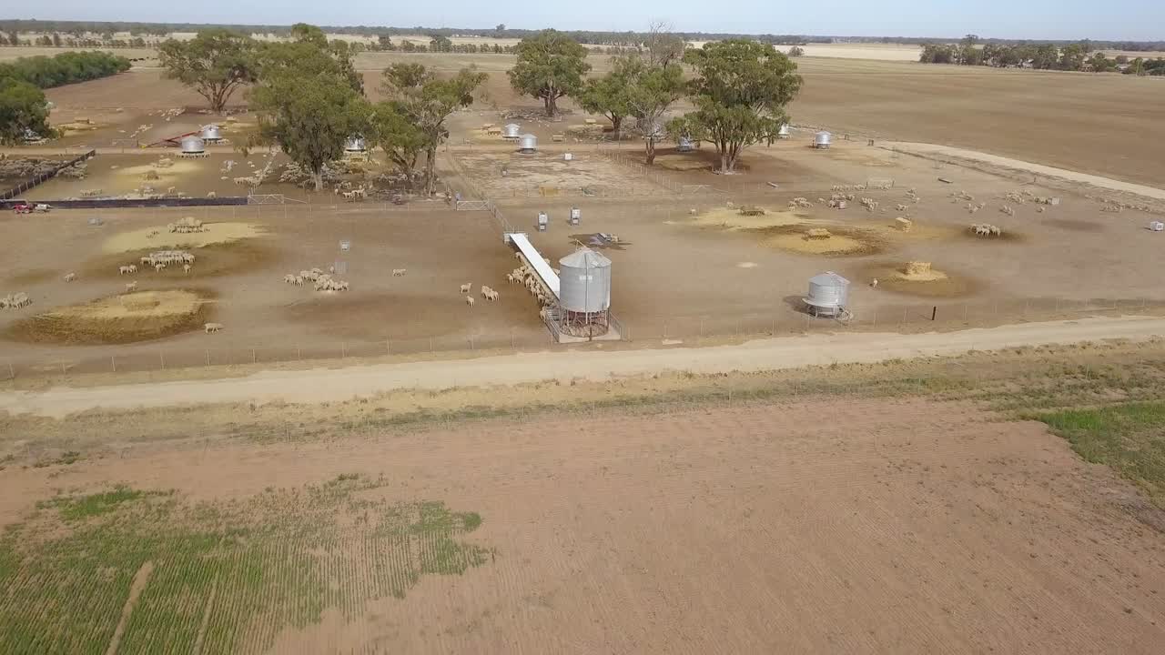 Feedtech Feeding Systems | Auto Feeders