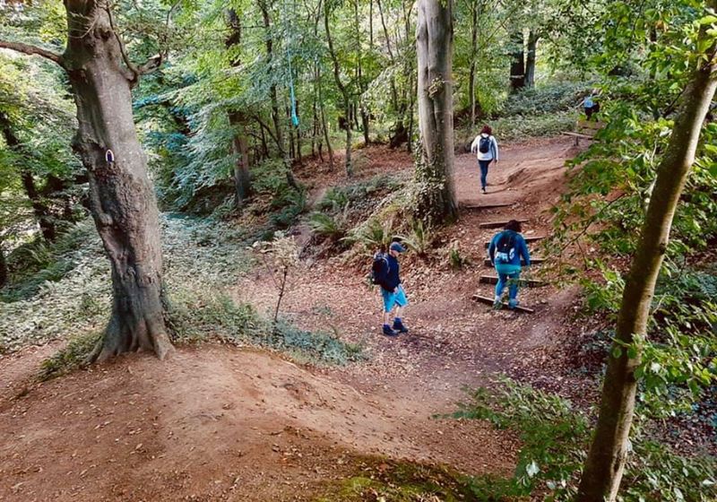 Boyne Valley Camino - Map & Guide