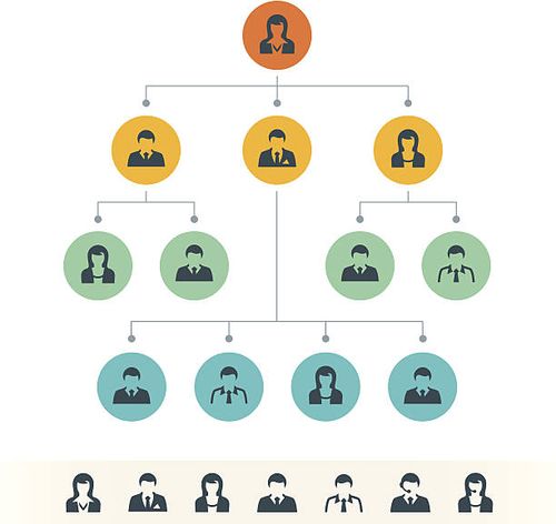 How to Read an Organizational Chart: A Comprehensive Guide