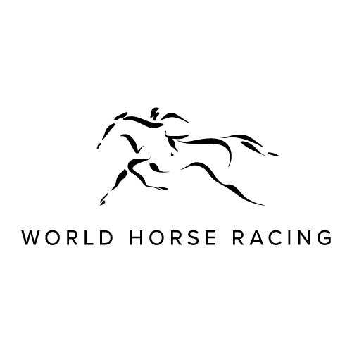 Engage Digital Partners | Leading Sports Marketing Agency